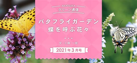 バタフライガーデン 蝶を呼ぶ花々 WEB BOSCO