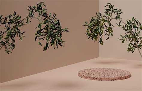 하얀 화강암 바위 연단 또는 돌 무대와 나뭇잎 프리젠테이션 화장품을 위한 나뭇가지 모형 스탠드 제품 장면 배경입니다 3d 연단