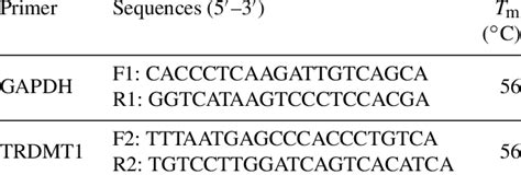 The Primers Used For Qpcr Analysis Download Scientific Diagram