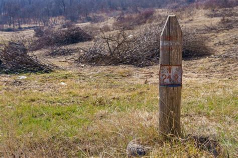 Plot Column For Deforestation Background With Selective Focus Stock Image Image Of Forest