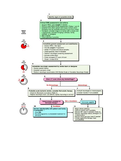 Algoritma Stroke Pdf