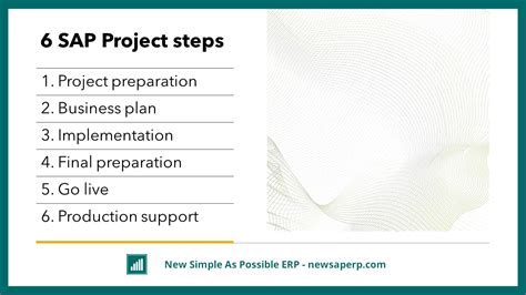 Successful SAP Project Management Steps