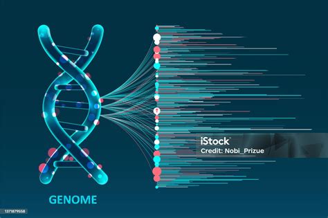 Big Genomic Data Visualization Stock Illustration Download Image Now