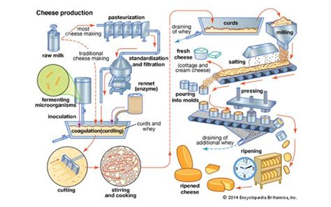 IELTS Writing Task 1 Process Cách Viết Sample Band Cao