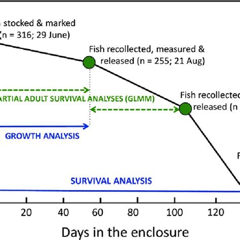 Schematic Illustration Of Sampling Design Showing The Number Of