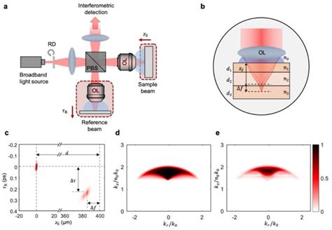 Speckle Diffraction Tomography Reveals Nanoscale Features In Thick