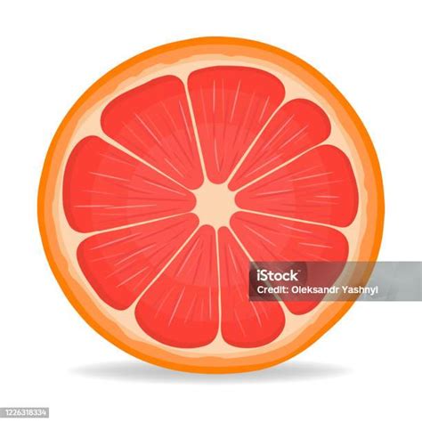 흰색 배경에 고립 된 신선한 밝은 이국적인 하프 컷 자몽 건강한 라이프 스타일을위한 여름 과일 유기농 과일 만화 스타일입니다 모든 디자인에 대한 벡터 그림입니다 분홍에 대한