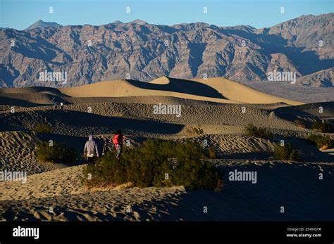 Mesquite Flat Sand Dunes Death Valley California Nevada Usa