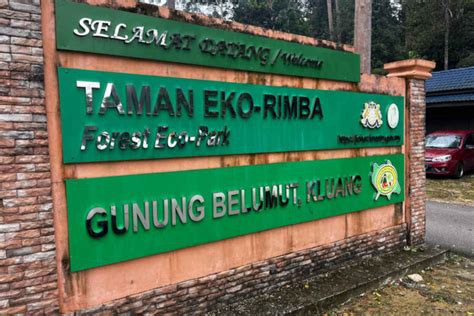 Gunung Belumut Hiking Guide • The Gees Travel