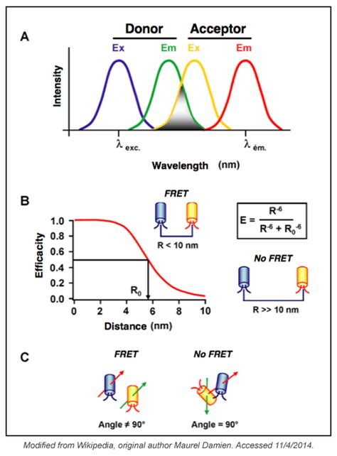 Tips For Using Fret In Your Experiments