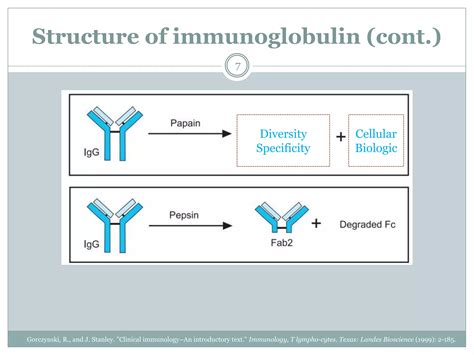 Intravenous Immunoglobulin Therapy Ivig Pptx