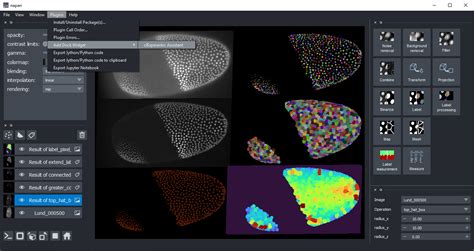 Napari Pyclesperanto Assistant Biii