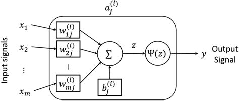 Illustration Of Perceptron Model Of Neuron A I ð Þ J Download