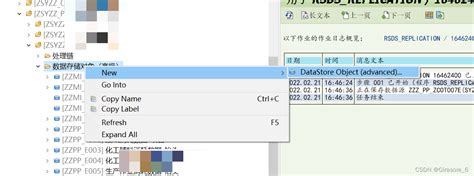 Sap Bwhana 数据源创建示例sap Zsd100数据源 Csdn博客