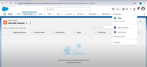 Text Types Custom Fields In Salesforce Crs Info Solutions