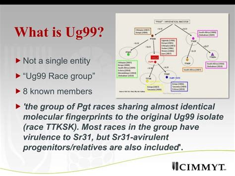Tracking The Wheat Rust Pathogens Ppt