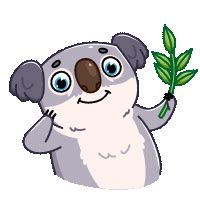 Kozy Koala