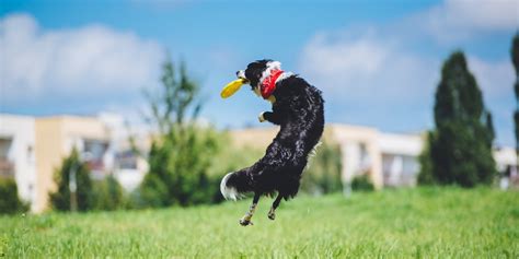 Agile Assurance Modernizing It Product Certification Lightship Security