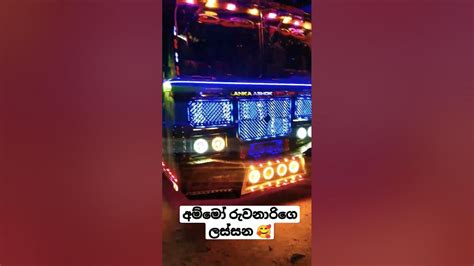 රුවනාරිගෙ ලස්සන ️💥 රුවනාරි Ruwanaribus Modifiedbus Youtube