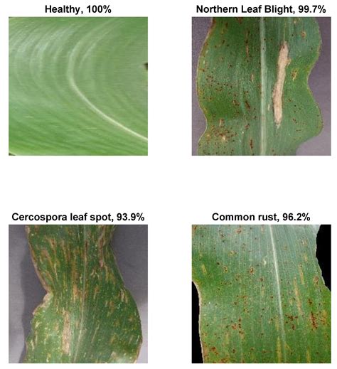 Classification Of Corn Diseases From Leaf Images Using Deep Transfer Learning