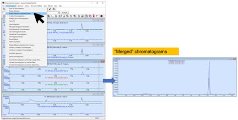 5 9 Instructions For Data Processing Using Msd Chemstation Data