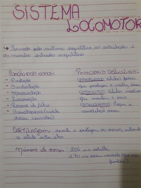 Mapa Conceitual Do Sistema Locomotor Emplo