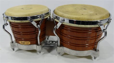 Bongo Drums Sweetwater At William Wickens Blog
