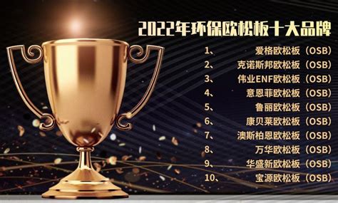 伟业enf欧松板被评为“2022年环保欧松板十大品牌” 知乎