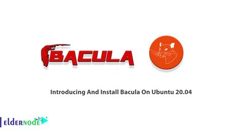 Introducing And Install Bacula On Ubuntu 2004 Eldernode Blog