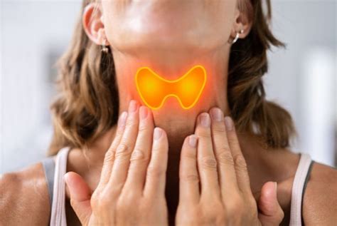 Synthroid Side Effects What You Need To Know