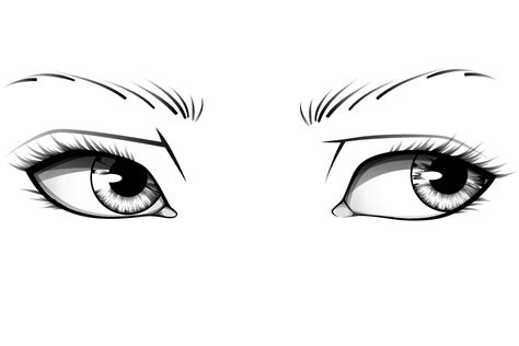 Eyebrows Reference
