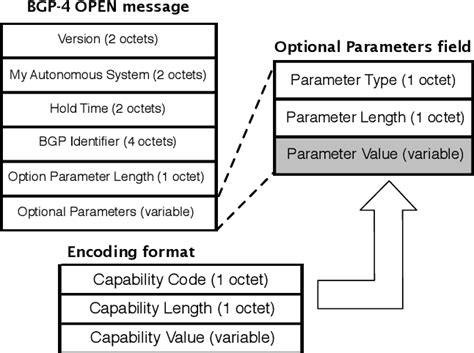Figure 1 From Design Of Flexible Layer 3 Routing Protocol With Variable Length Address