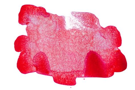 흰색 배경 절연 물에 종이 텍스처 빨강 수채화 얼룩 페인트와 얼룩 손 그리기 그리기에 대한 스톡 사진 및 기타 이미지 그리기 디자인 물 Istock