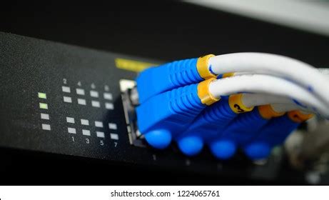Network Switch Ethernet Cables Stock Photo Shutterstock