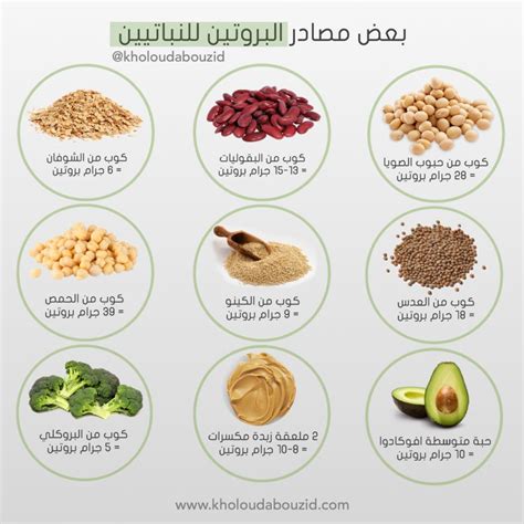 مصادر البروتين للنباتيين خلود ابوزيد