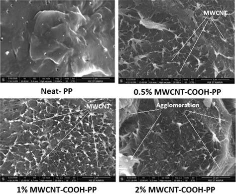 Sem Micrographs Of Nanocomposites Download Scientific Diagram