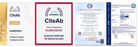 Insulin Transferrin Selenium Sodium Pyruvate Its A 100 X