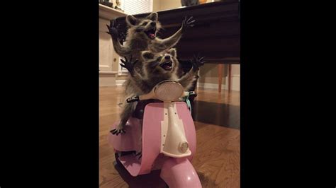 이 플리 틀고 오늘 폭주뛴다 국힙 Playlist Youtube