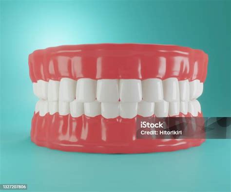 녹색 배경 3d 렌더링에 치아 개념 치과 의학 및 건강 0명에 대한 스톡 사진 및 기타 이미지 0명 3차원 형태 건강관리와 의술 Istock