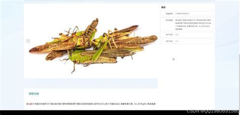 基于djangopython的农业害虫识别系统设计与实现源码文档部署讲解等 Csdn博客