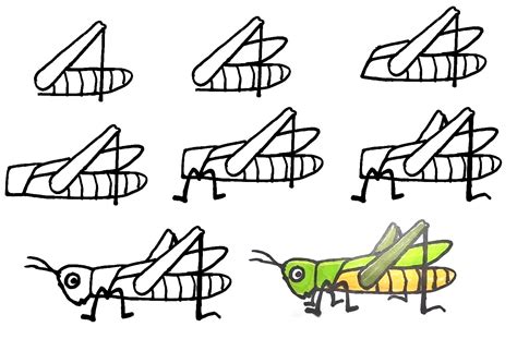 8 Simple Steps To Create A Nice Grasshopper Drawing How To Draw A