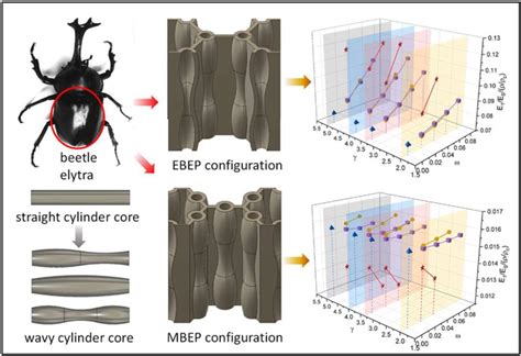 Kees Groeneveld On Linkedin Beetleelytronplates Beps Biomimetic