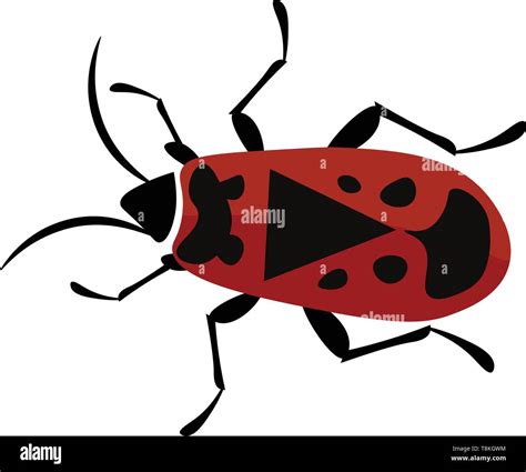 A Colour Illustration Of A Firebug Vector Color Drawing Or Illustration Stock Vector Image