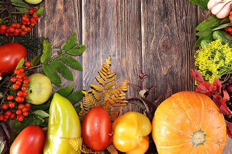 나무 배경 상단보기 평평한 평신도에 야채의 프레임 호박 토마토 산 재 포도 추수 감사절 개념 0명에 대한 스톡 사진 및 기타