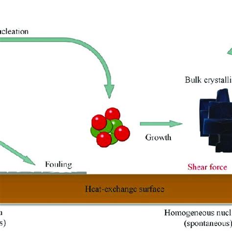 The Formation Process Of Crystallization Fouling A Homogeneous
