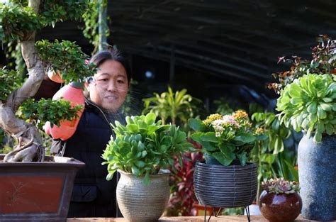 媒体看南皮 河北南皮：花卉经济拓宽农民致富路澎湃号·政务澎湃新闻 The Paper