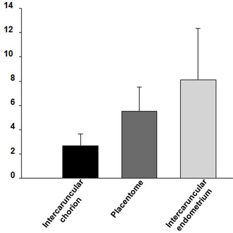 Expression Of Egfp In Fetal And Maternal Tissues From Egfp Transgenic