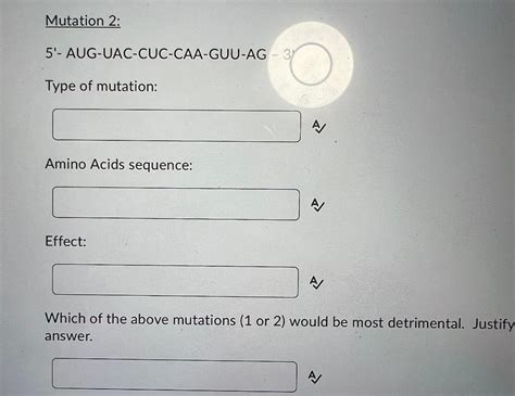 Solved Question 9 8 Points Using The Original Mrna Strand