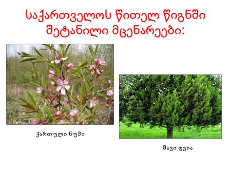 Biomravalferovneba Ppt