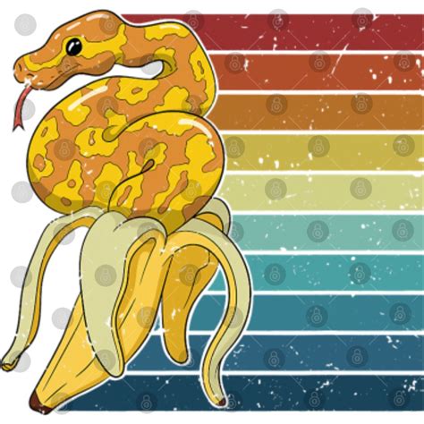 Python Lover Retro Snake Lover Pythonidae Snake Owner Banana Ball